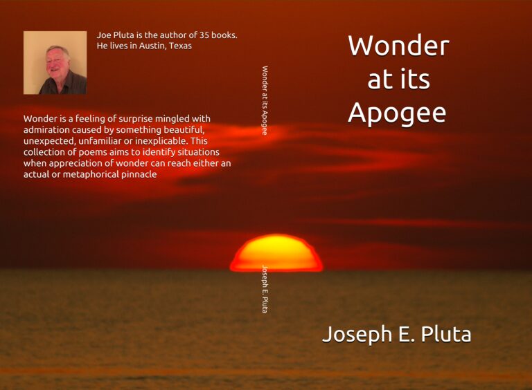 New Book of Poems - Joseph E. Pluta